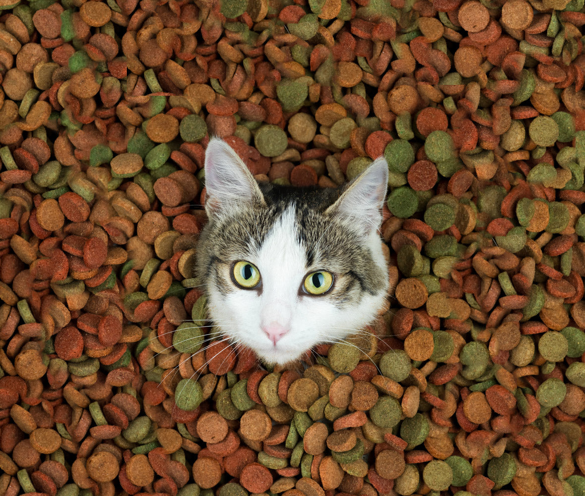 Cat Treats – Park Slope Pet